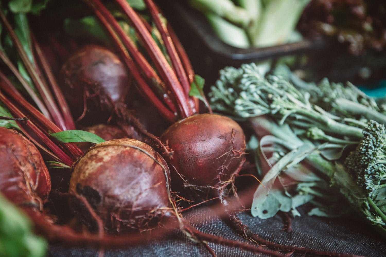 Photo Gallery | Bee simple みつろうラップ